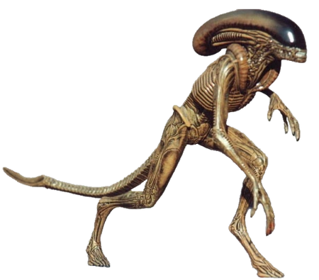 Xenomorph | Omniversal Death battle Wiki | Fandom