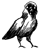 CROW | OMORI Wiki | Fandom