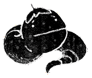 S.S. SNAKE | OMORI Wiki | Fandom