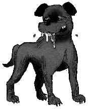 STRAY DOG | OMORI Wiki | Fandom