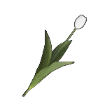 Tulips | Once Human Wiki | Fandom