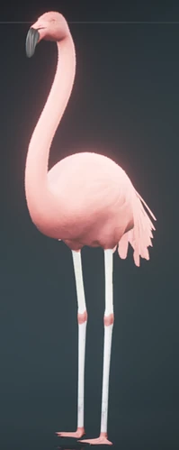 Flamingo | Once Human Wiki | Fandom