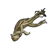 Bellflower | Once Human Wiki | Fandom