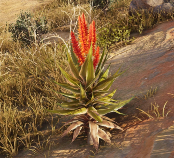 Aloe | Wiki Once Human | Fandom