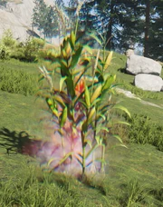 Deviated Crops | Once Human Wiki | Fandom