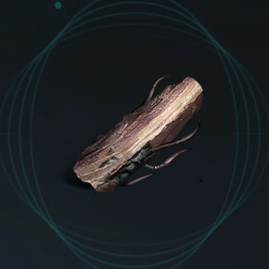 Preserved Deviated Chops | Once Human Wiki | Fandom