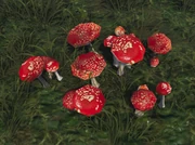 Mushroom | Once Human Wiki | Fandom