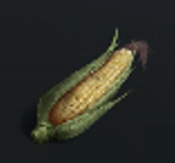 Corn | Once Human Wiki | Fandom