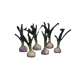 Onion | Once Human Wiki | Fandom