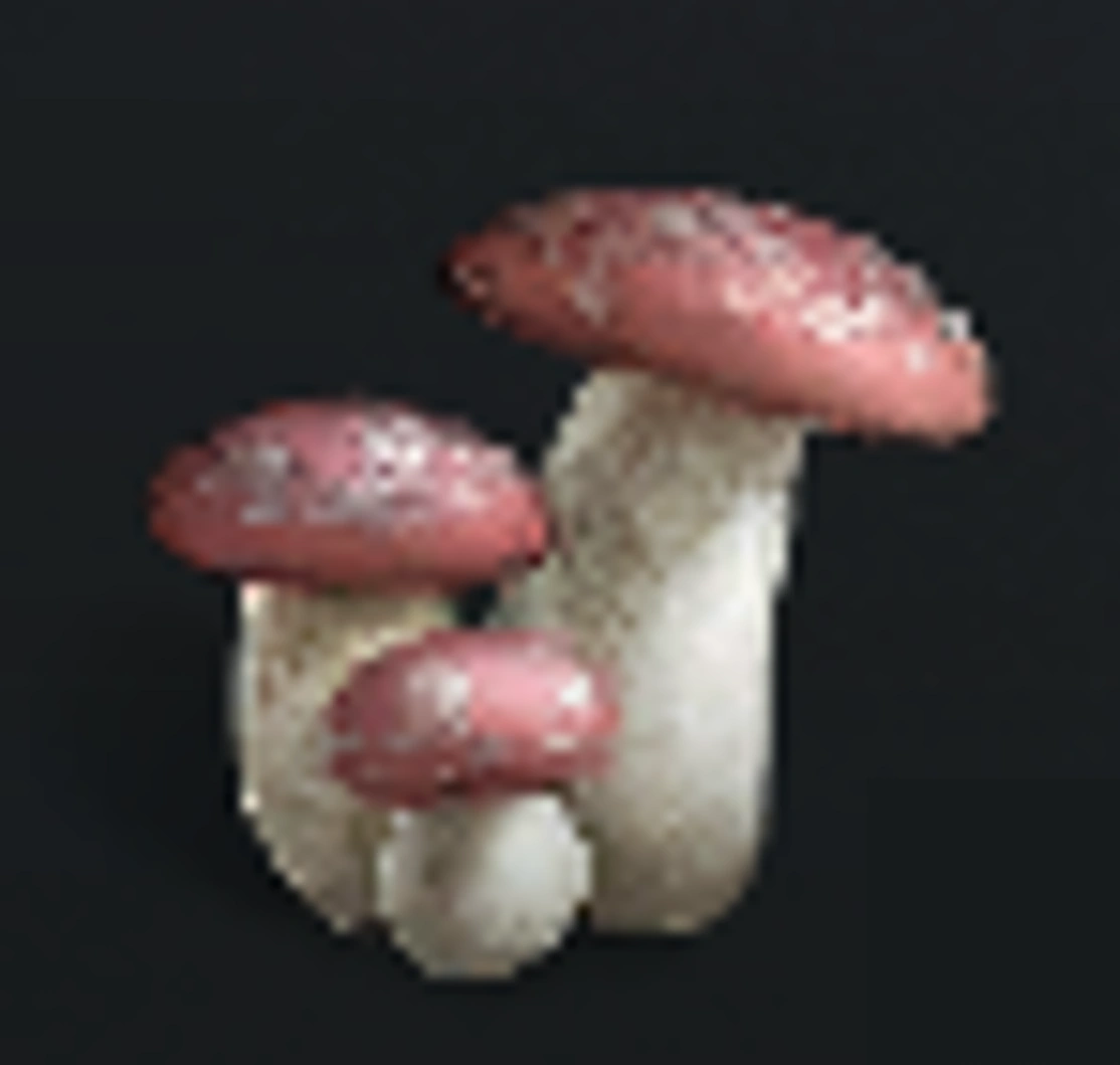 Mushroom | Once Human Wiki | Fandom