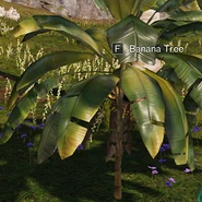 Banana | Once Human Wiki | Fandom