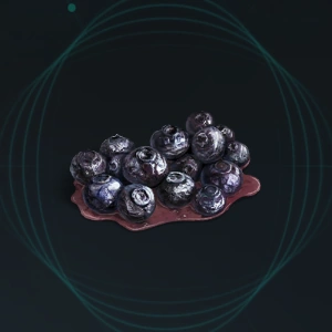 Roasted Blueberry | Once Human Wiki | Fandom