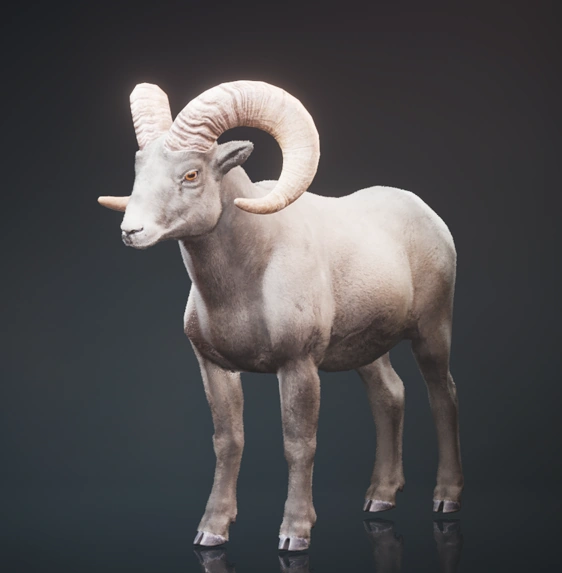 Ram | Once Human Wiki | Fandom