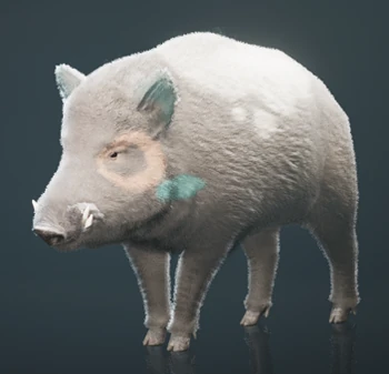 Boar | Once Human Wiki | Fandom