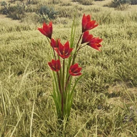 Saffron | Once Human Wiki | Fandom