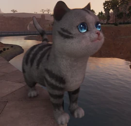 Extradimensional Cat | Once Human Wiki | Fandom