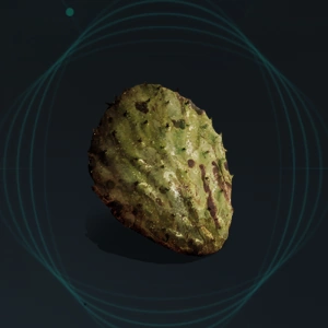 Dried Cactus | Once Human Wiki | Fandom