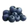 Blueberry | Once Human Wiki | Fandom