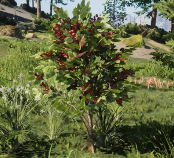 Cenelle | Wiki Once Human | Fandom