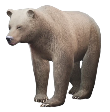 Bear | Once Human Wiki | Fandom