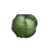 Cabbage | Once Human Wiki | Fandom