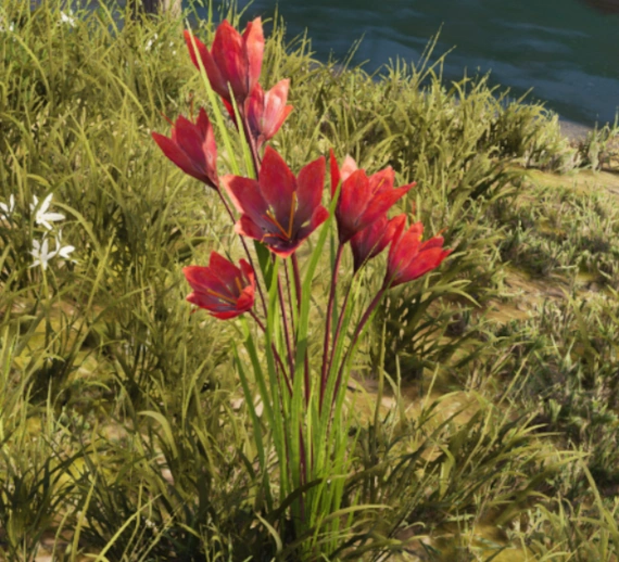 Safran | Wiki Once Human | Fandom