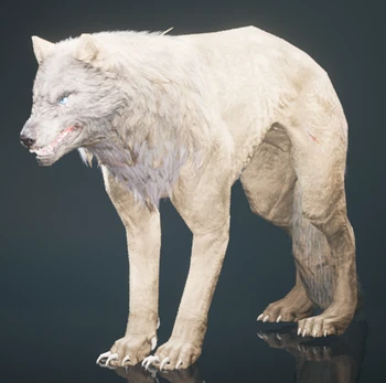 Eclipse Wolf | Once Human Wiki | Fandom