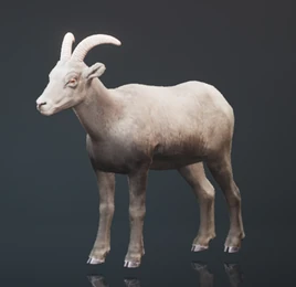 Ewe | Once Human Wiki | Fandom