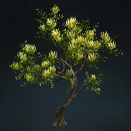 Honeysuckle | Once Human Wiki | Fandom