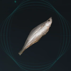 Preserved Fish | Once Human Wiki | Fandom