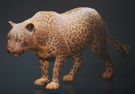 Leopard | Once Human Wiki | Fandom