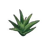 Aloe Vera | Once Human Wiki | Fandom