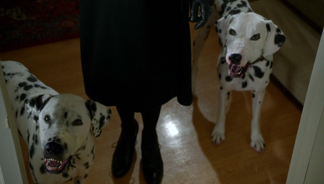 De Vil Dalmatians | Once Upon a Time and Once: Wonderland Wikia | Fandom
