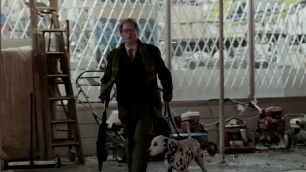 Pongo/Galeria | Wiki Once Upon a Time | Fandom