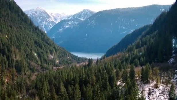 A Floresta/Galeria | Wiki Once Upon a Time | Fandom