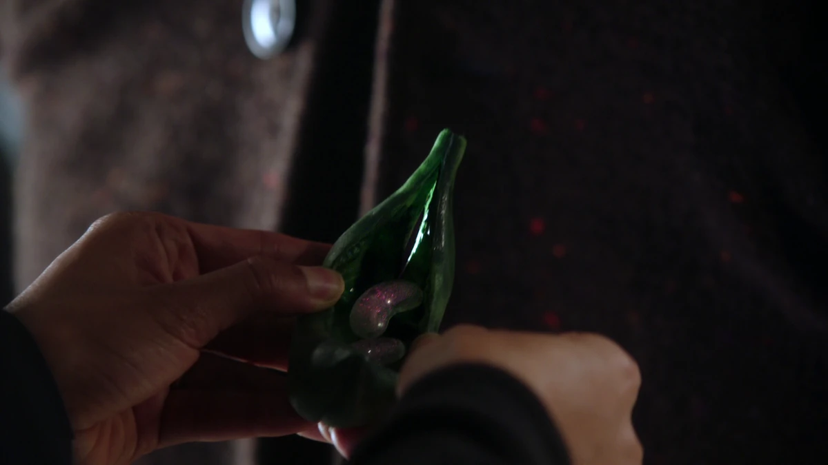 Magic Beans | Once Upon the Once Upon the Time Wiki | Fandom