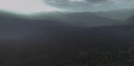 Infinite Forrest | Once Franchise Wiki | Fandom