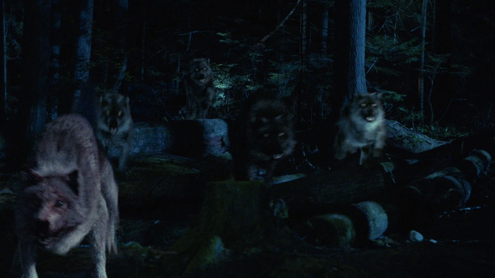 Werewolves | Once Upon a Time Wiki | Fandom