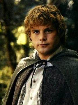 Samwise Gamgee | Once Upon a Multiverse Wiki | Fandom