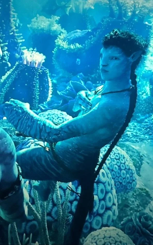 Rotxo | Once Upon a Multiverse Wiki | Fandom