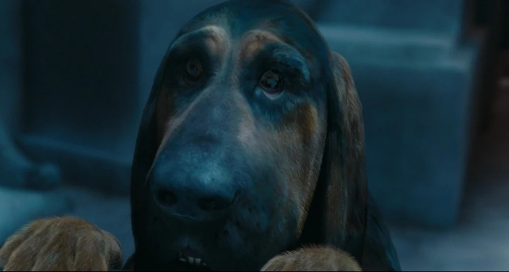 Bayard the Bloodhound | Once Upon a Multiverse Wiki | Fandom