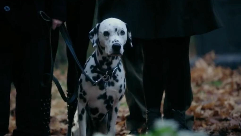 Pongo | Wiki Once Upon a Time | Fandom