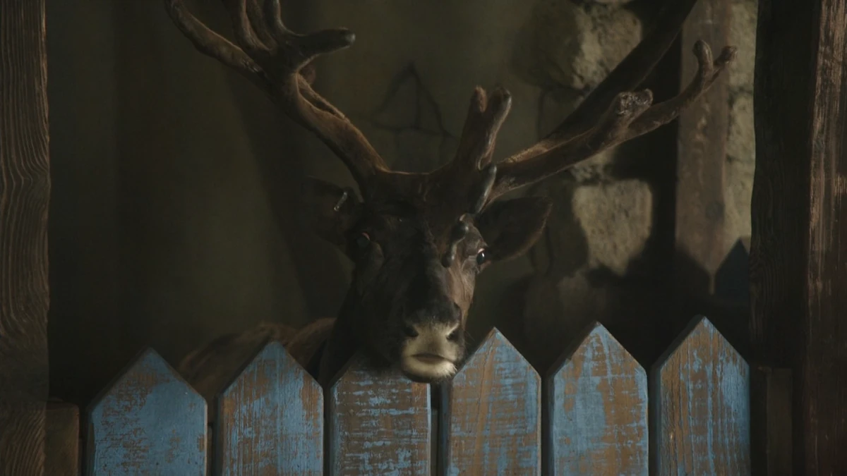 Sven | Wiki Once Upon a Time | Fandom