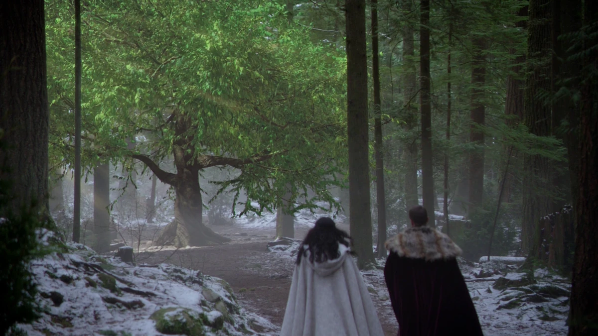 Tree of Wisdom Gallery | Once Upon a Time Wiki | Fandom
