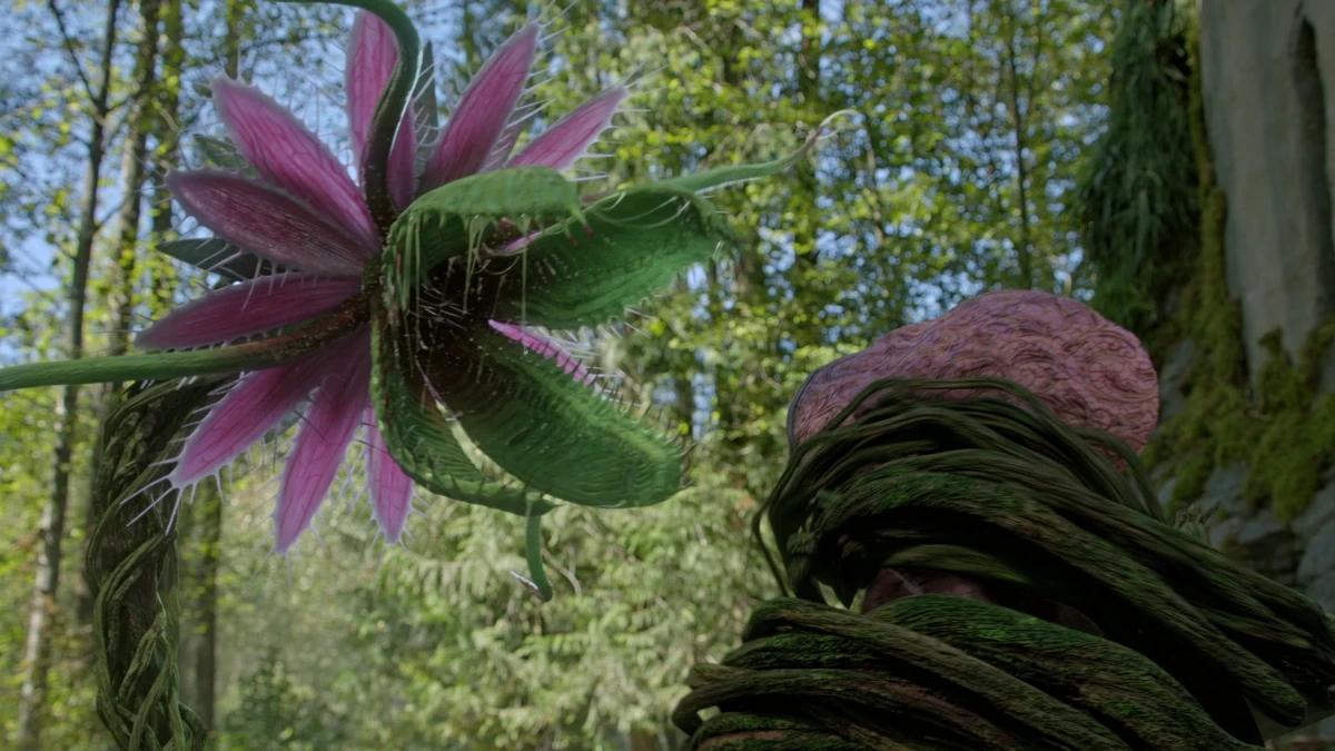 Poisonous Spore Plants | Once Upon a Time Wiki | Fandom