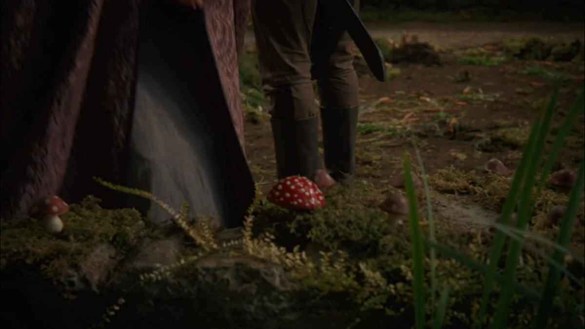 New Wonderland Toadstools Gallery | Once Upon a Time Wiki | Fandom