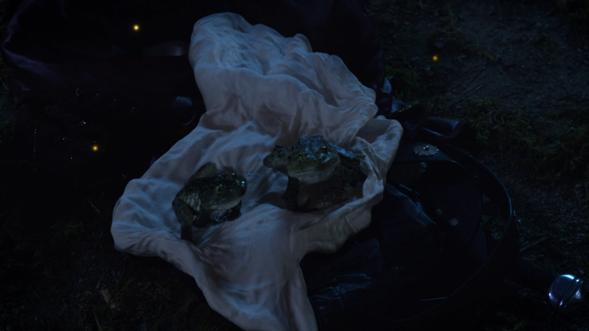 Discuss Everything About Once Upon a Time Wiki | Fandom