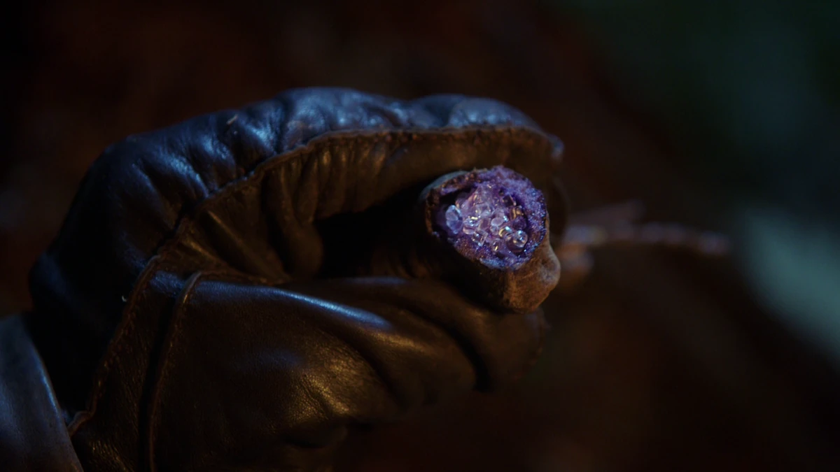 Night Root | Once Upon a Time Wiki | Fandom