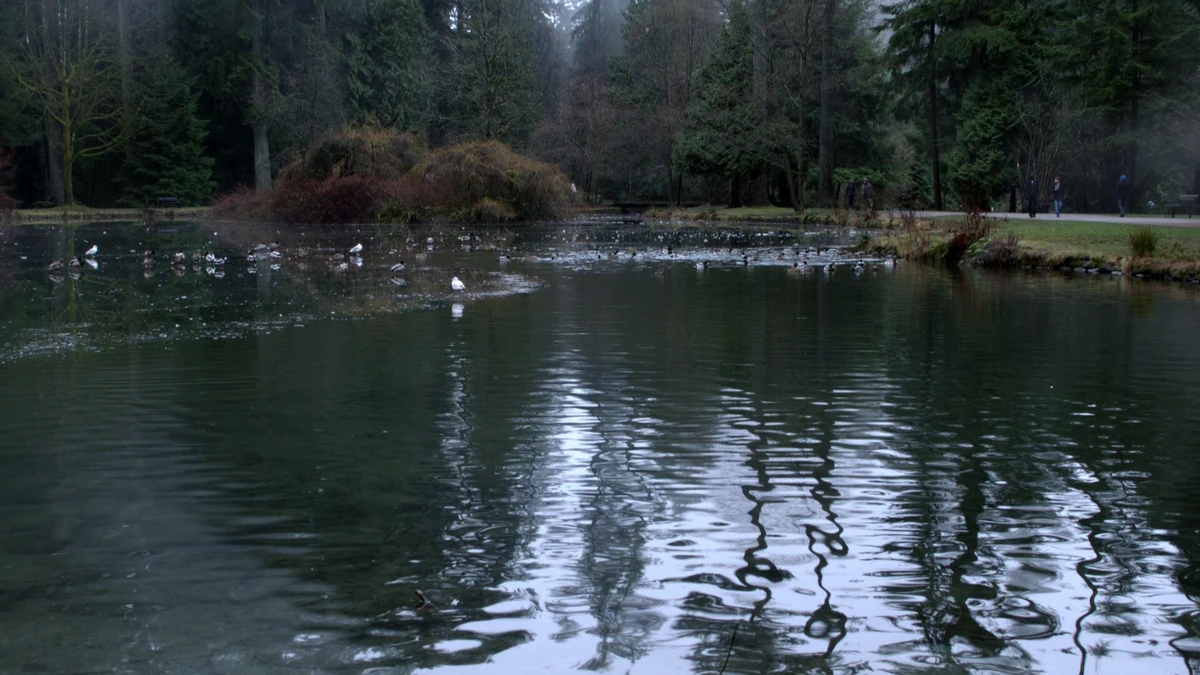 Storybrooke Heritage Park Gallery | Once Upon a Time Wiki | Fandom