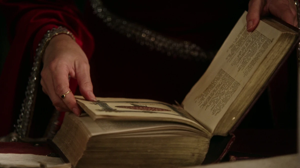 Merlin's Books | Once Upon a Time Wiki | Fandom